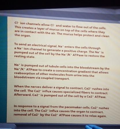 Solved Cl ﻿ion channels allow Cl-and water to flow out of | Chegg.com
