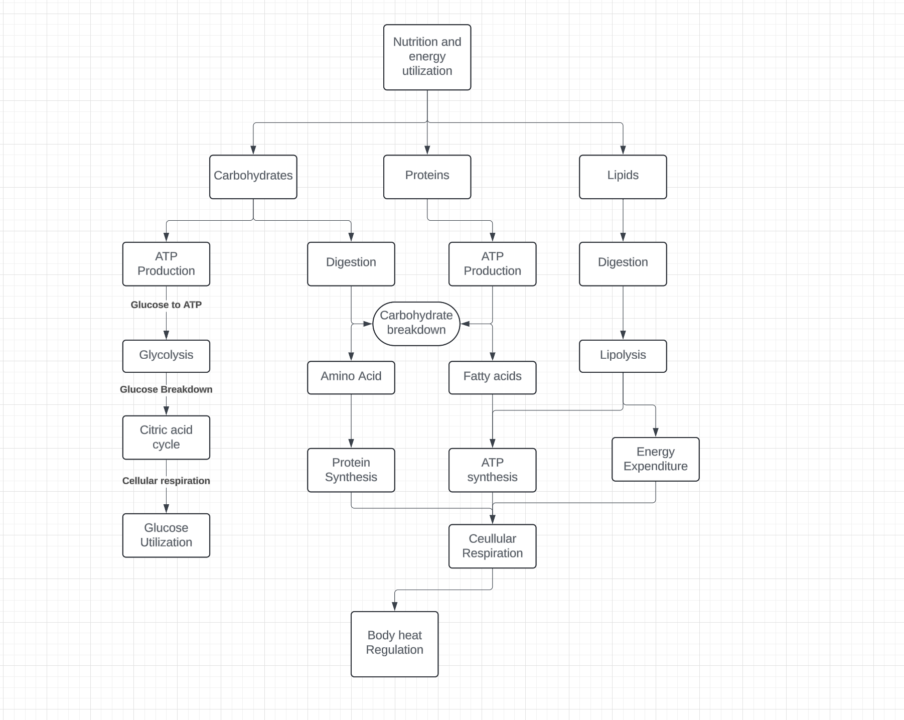 Solved Please edit my concept map to includce info on ths | Chegg.com