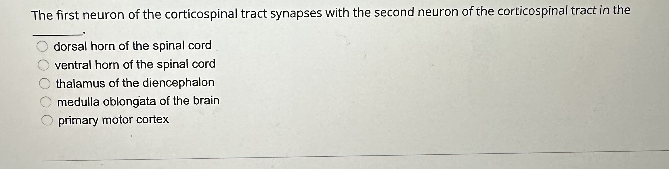 Solved The first neuron of the corticospinal tract synapses | Chegg.com