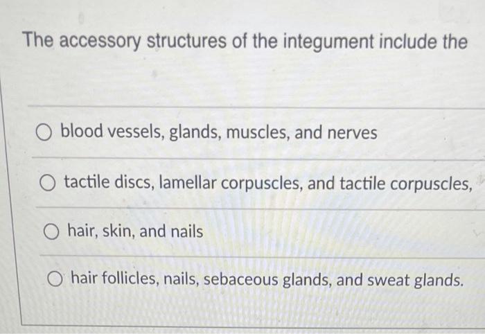 Solved The accessory structures of the integument include | Chegg.com
