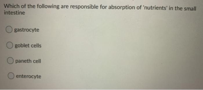 Solved What types of cell comprises an isogenous group? | Chegg.com