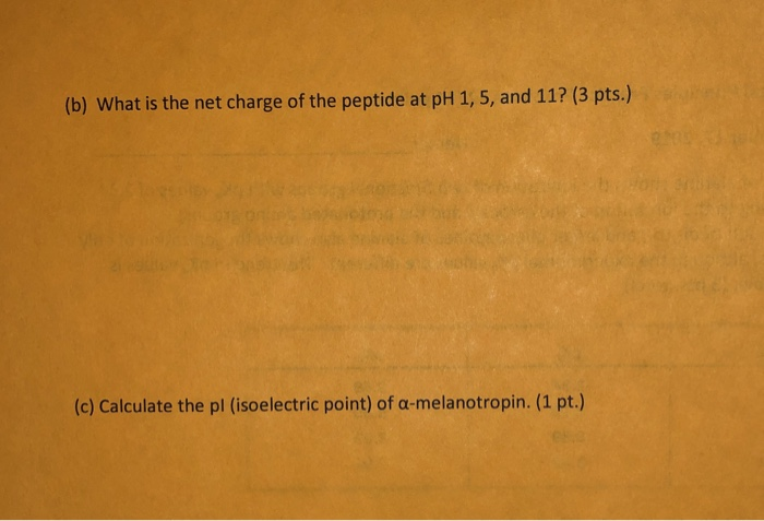 Solved 2. The melanocyte-stimulating peptide hormone | Chegg.com