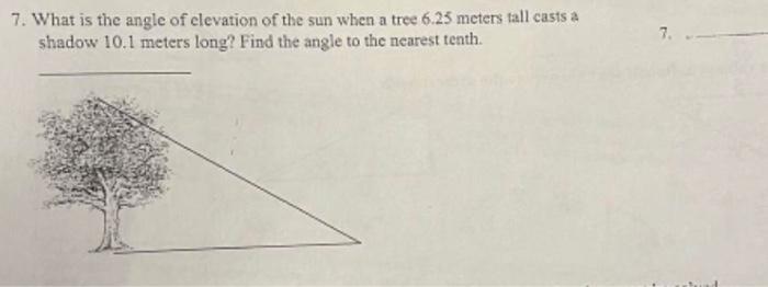 Solved What is the angle of elevation of the sun when a tree | Chegg.com