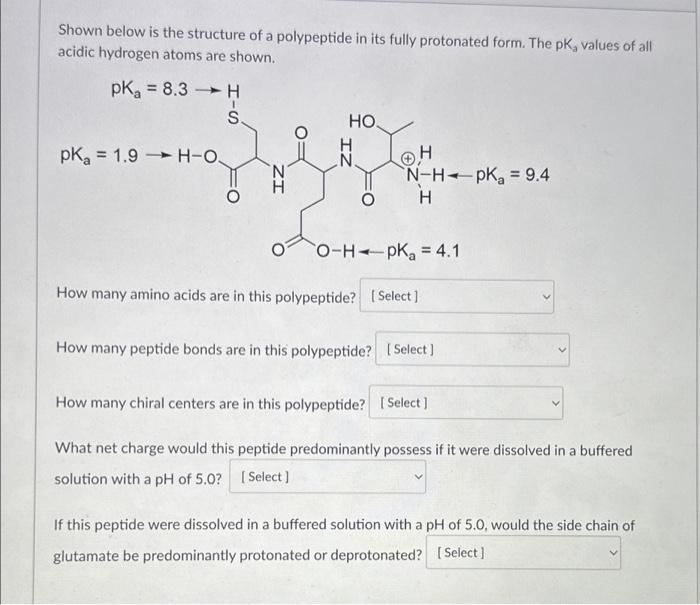Solved Shown below is the structure of a polypeptide in its | Chegg.com