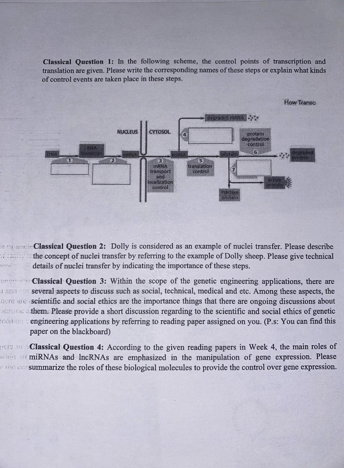 Solved Classical Question 1: In the following scheme, the | Chegg.com