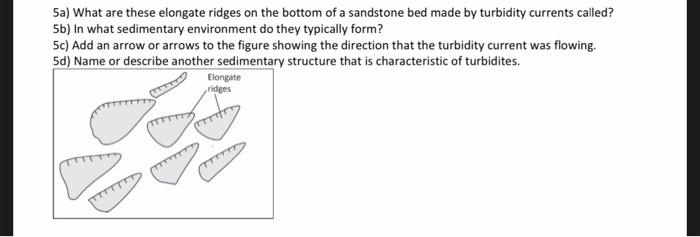 Solved 5a) What are these elongate ridges on the bottom of a | Chegg.com