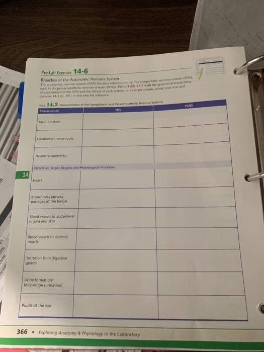 Pre-Lab Exercise 14-6 Branches of the Autonomic | Chegg.com