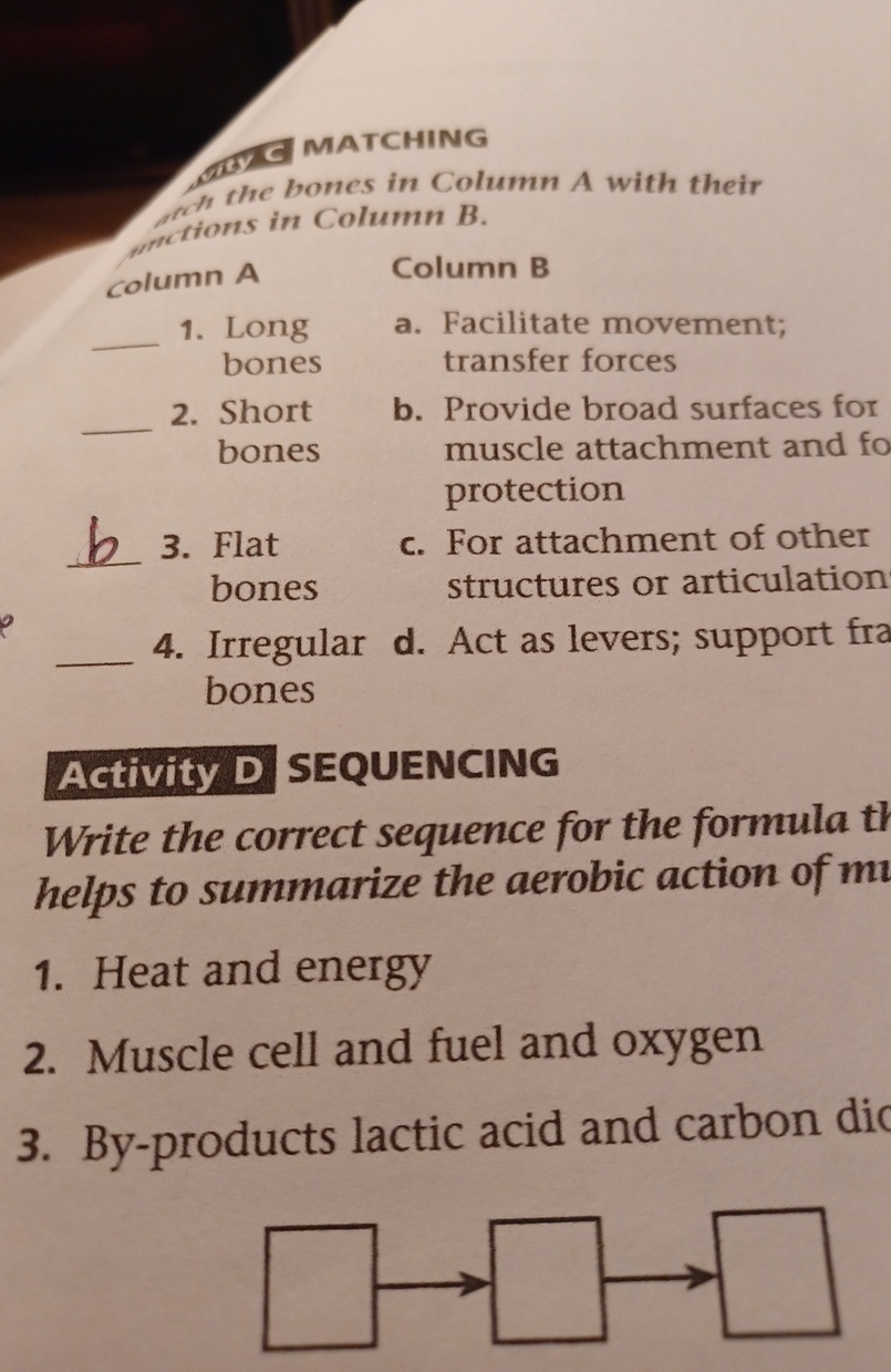 Solved by an EXPERT the bones in Column A with their ctions in Column | Chegg.com
