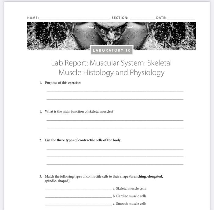 Solved NAME: SECTION: DATE: LABORATORY 10 Lab Report: | Chegg.com