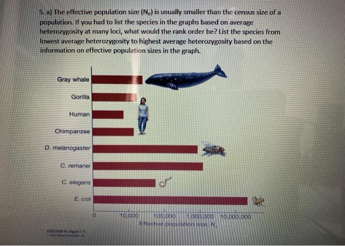 Solved 5. a) The effective population size (Ne) is usually | Chegg.com