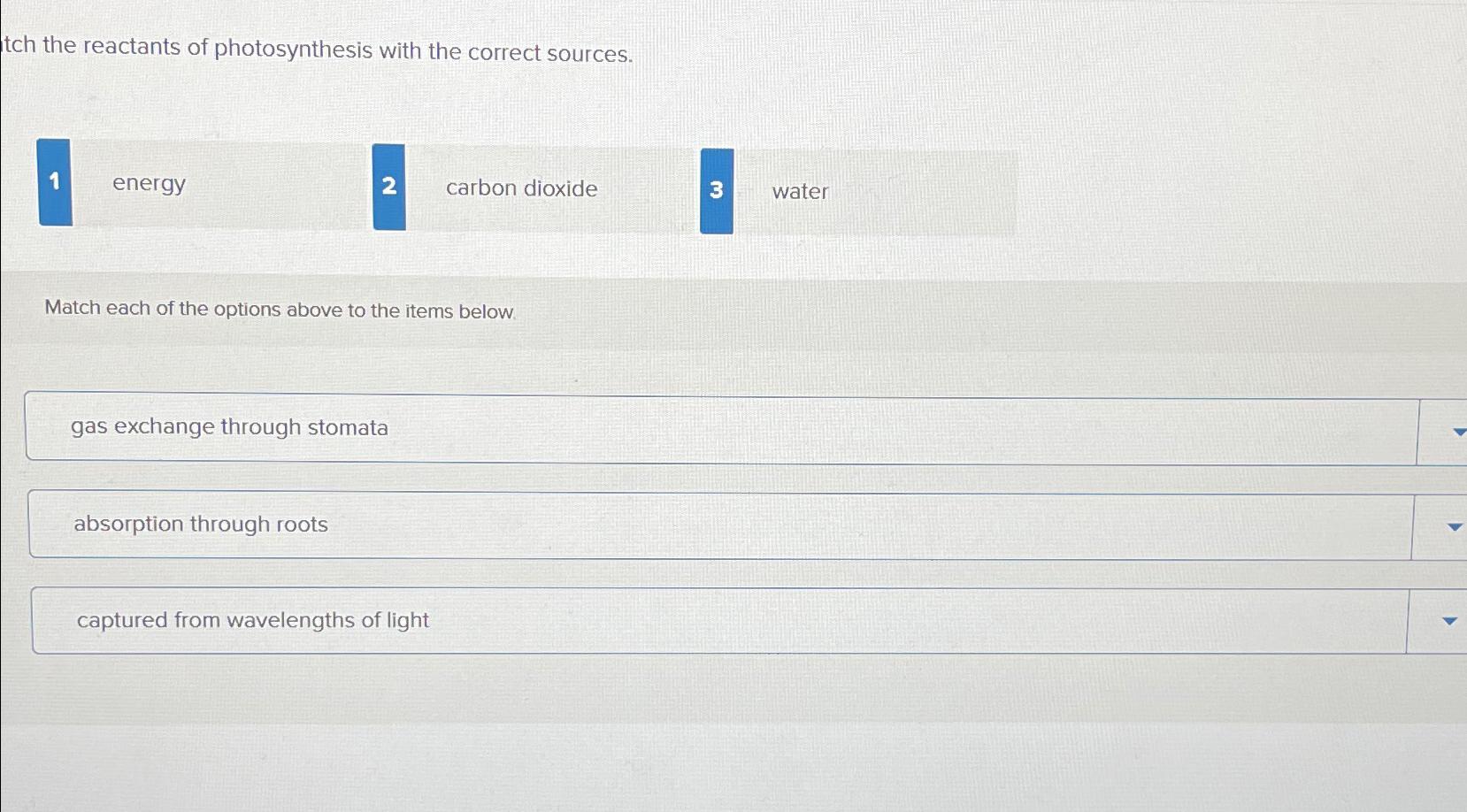 Solved tch the reactants of photosynthesis with the correct | Chegg.com
