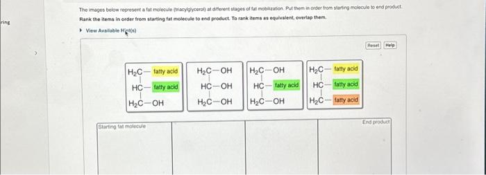 Solved ring The images below represent a fat molecule | Chegg.com