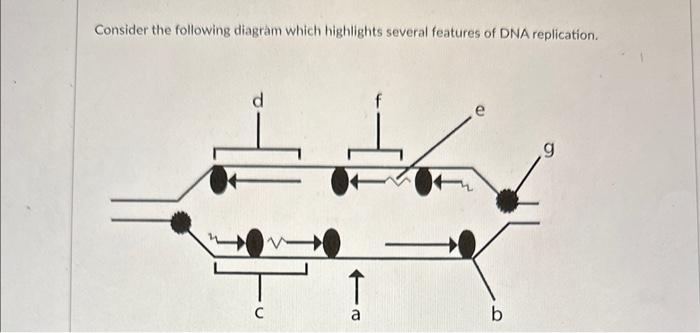 Solved Consider the following diagram which highlights | Chegg.com