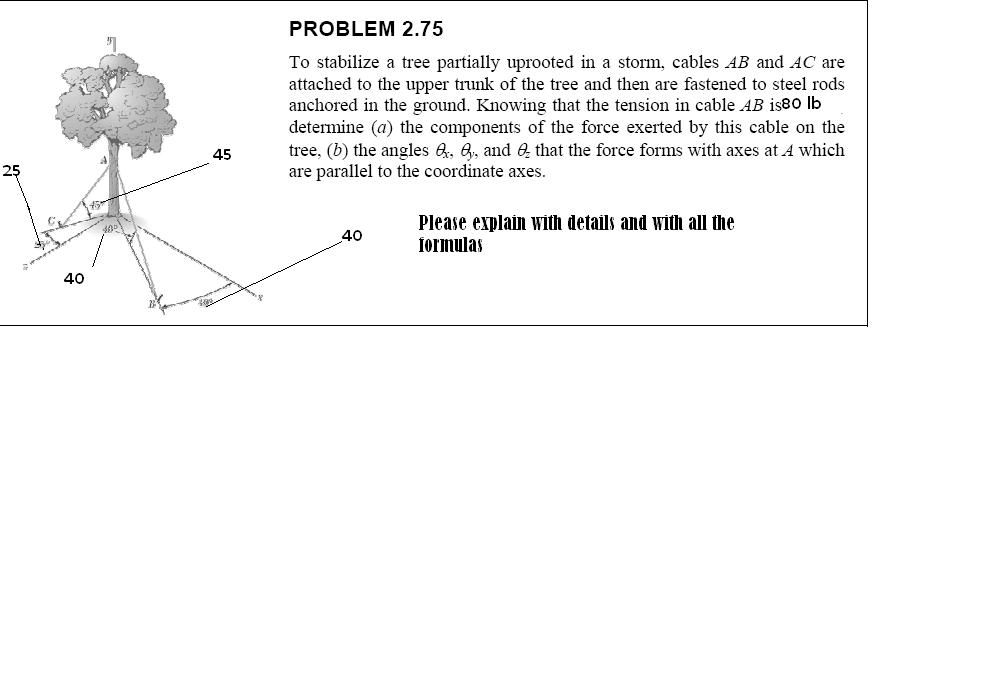 Solved To stabilize a tree partially uprooted in a storm, | Chegg.com
