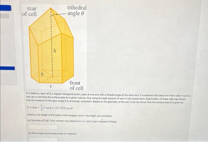 Solved In a beehive, each ell is a regular hexagonal prism, | Chegg.com
