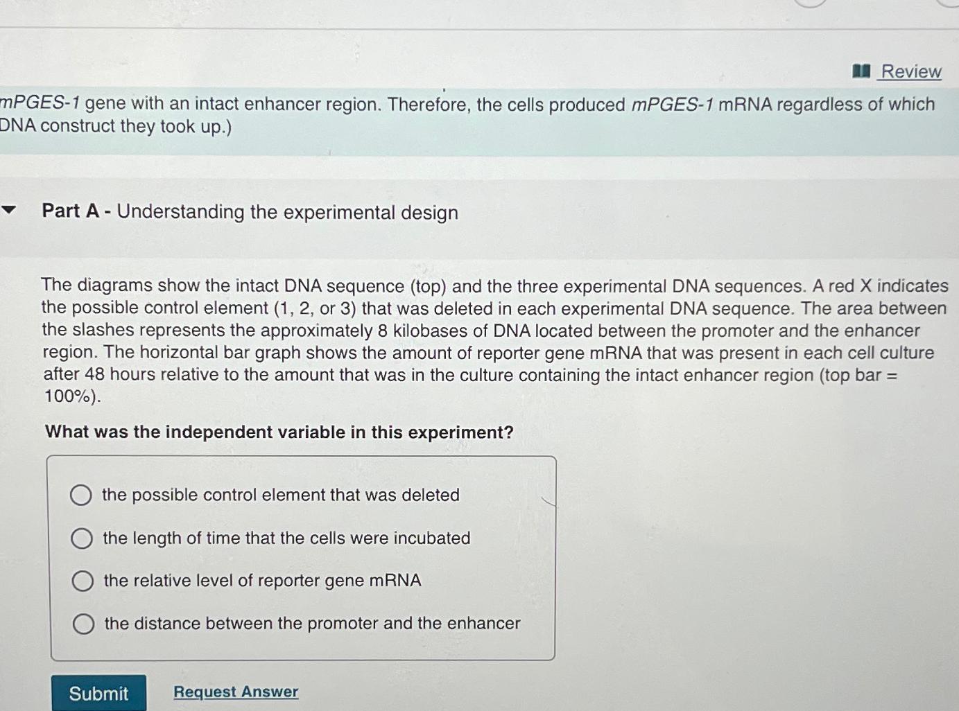 Solved In ReviewmPGES-1 ﻿gene with an intact enhancer | Chegg.com