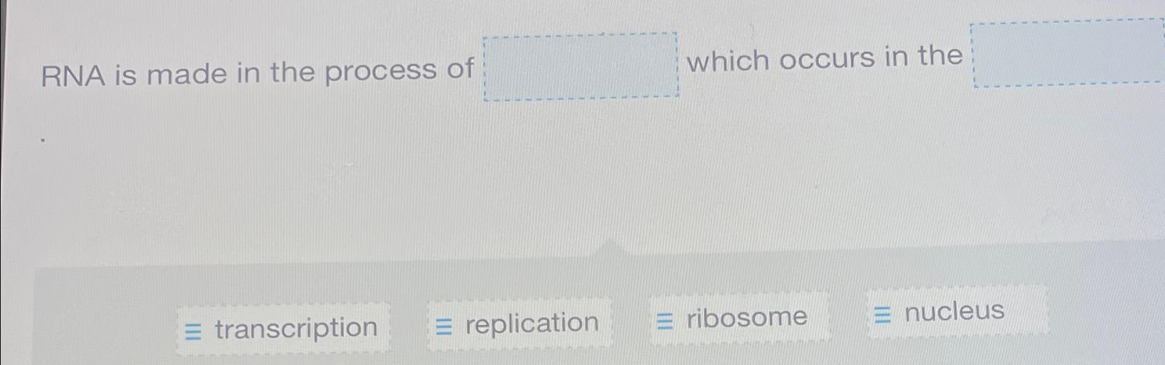 Solved RNA is made in the process of which occurs in the | Chegg.com