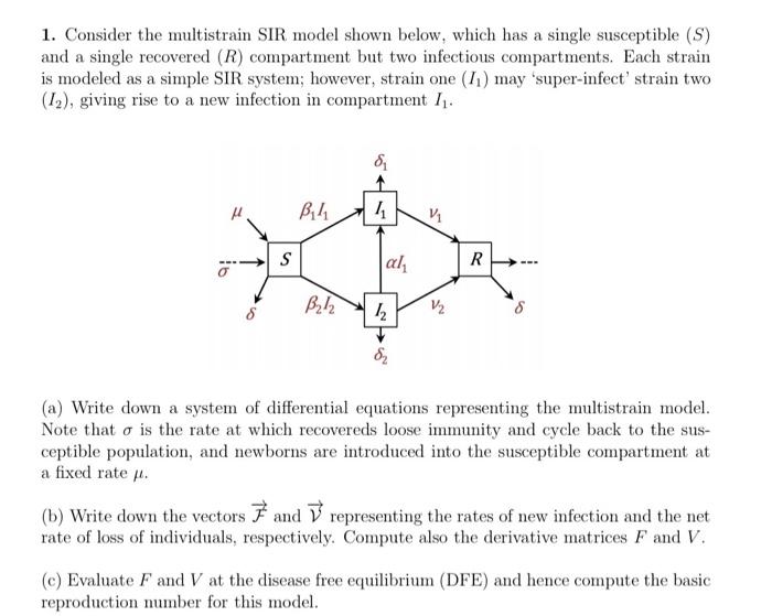 1. Consider the multistrain SIR model shown below, | Chegg.com