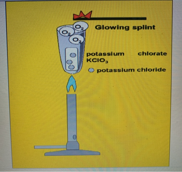 Solved Procedure 7 Don't drop the burning splint into the | Chegg.com