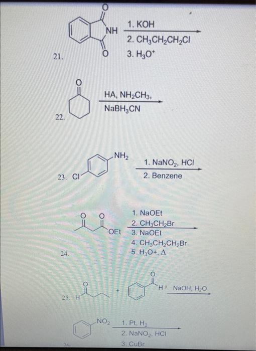 Solved NH 1. KOH 2. CH CH CHCI 3. H30* 21. O 8 HA, NH2CH3 | Chegg.com