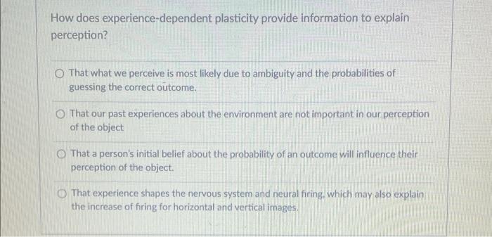 Solved How does experience-dependent plasticity provide | Chegg.com