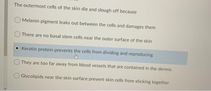 Solved The outermost cells of the skin die and slough off | Chegg.com