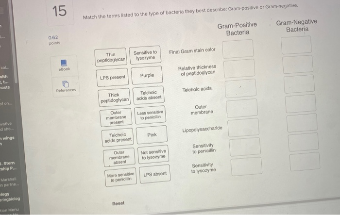 Solved 15 Match the terms listed to the type of bacteria | Chegg.com