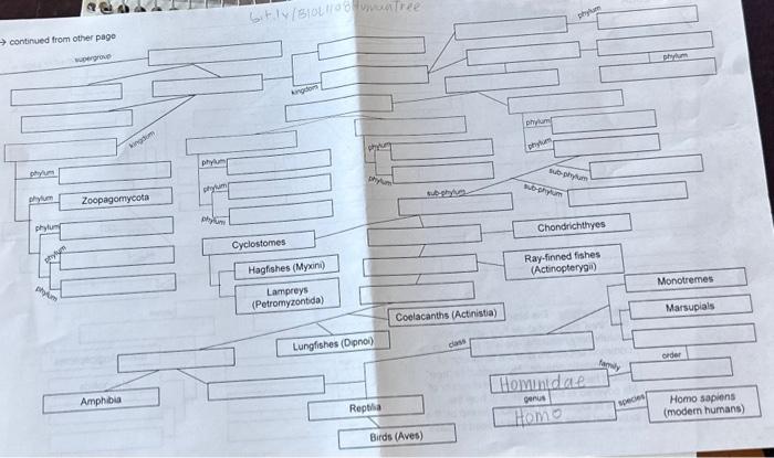 using this word bank fill in the missing blanks on | Chegg.com