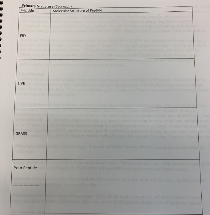 Solved Primary Structure (5pts each) Peptide Molecular | Chegg.com