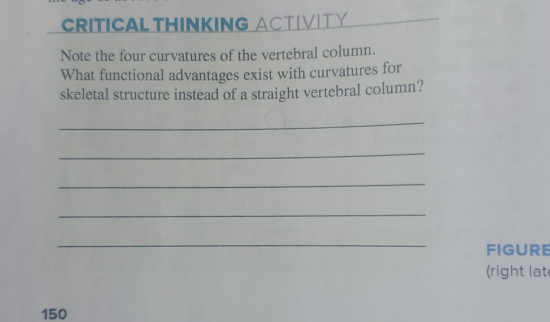 Solved CRITICAL THINKING ACTIVITYNote the four curvatures of | Chegg.com