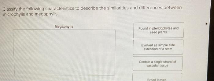 Solved Classify the following characteristics to describe | Chegg.com