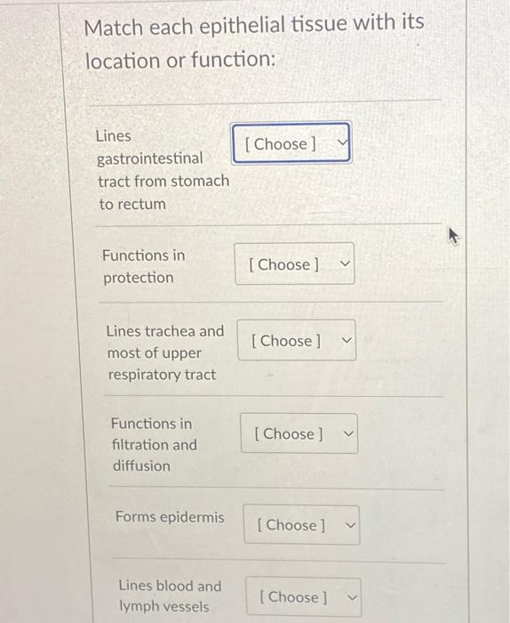 Solved Match each epithelial tissue with its location or | Chegg.com