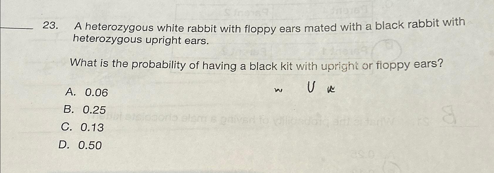 Solved A heterozygous white rabbit with floppy ears mated | Chegg.com