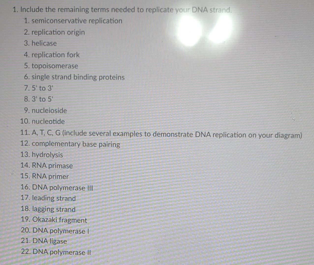 Solved Given DNA Template Strand: | Chegg.com