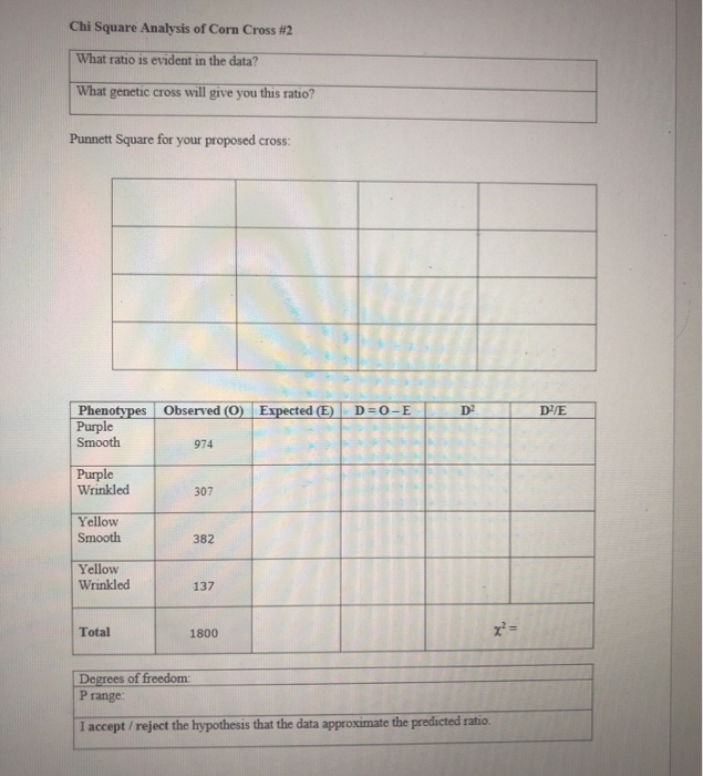Solved Corn Genetics: Chi Square Analysis Data Sheet Chi | Chegg.com