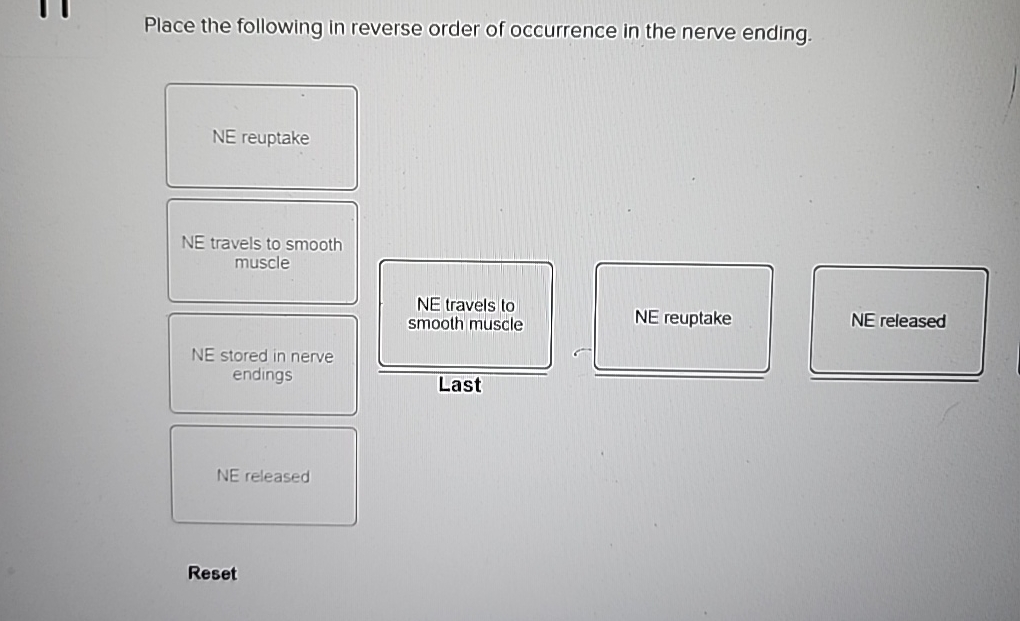 Solved Place the following in reverse order of occurrence in | Chegg.com