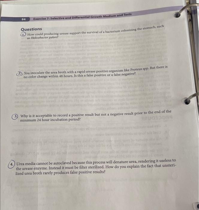 Solved (1. How could producing urease support the survival | Chegg.com