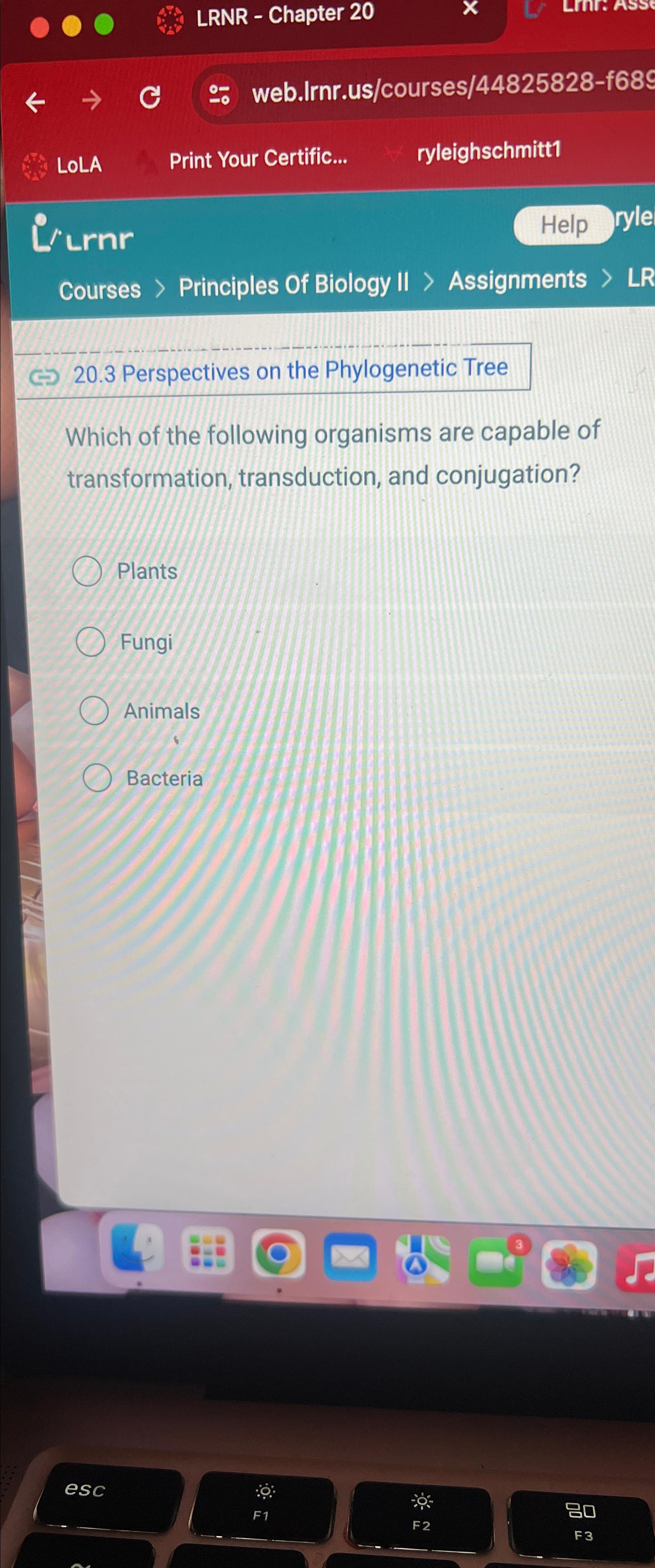 Solved LRNR - ﻿Chapter 20LOLAPrint Your | Chegg.com