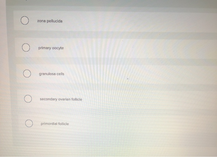 Solved Which structure is highlighted? zona pellucida | Chegg.com