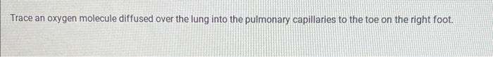 Solved Trace an oxygen molecule diffused over the lung into | Chegg.com