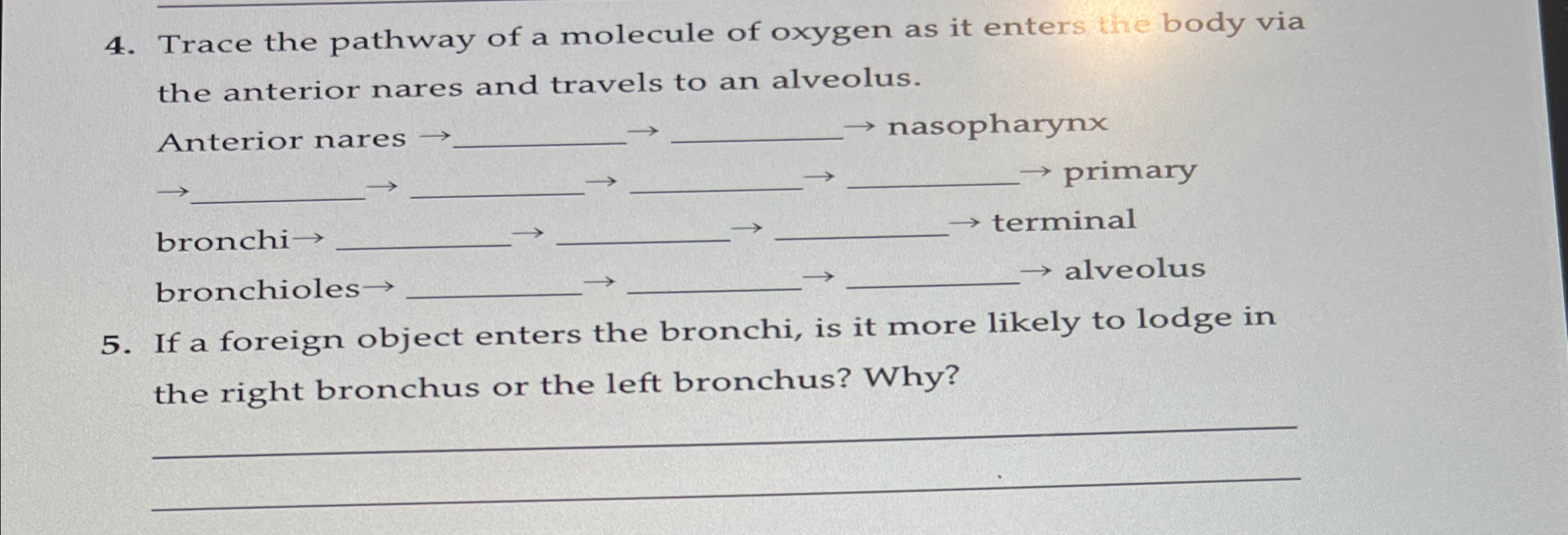 Solved Trace the pathway of a molecule of oxygen as it | Chegg.com