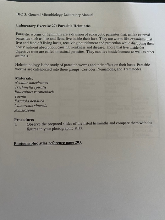 Solved BIO 3: General Microbiology Laboratory Manual | Chegg.com