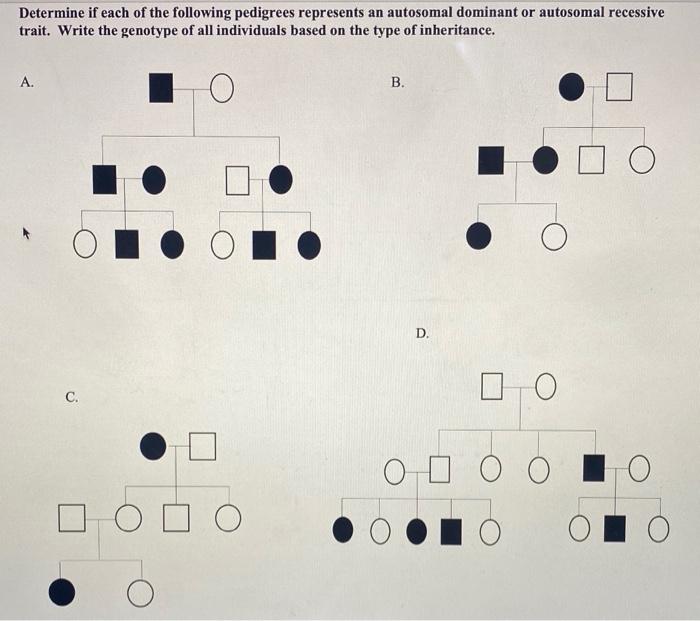Solved Determine if each of the following pedigrees | Chegg.com