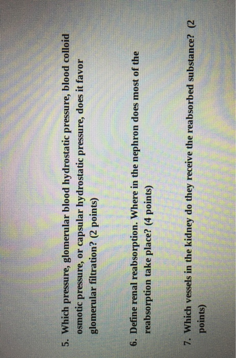 Solved 5. Which pressure, glomerular blood hydrostatic | Chegg.com