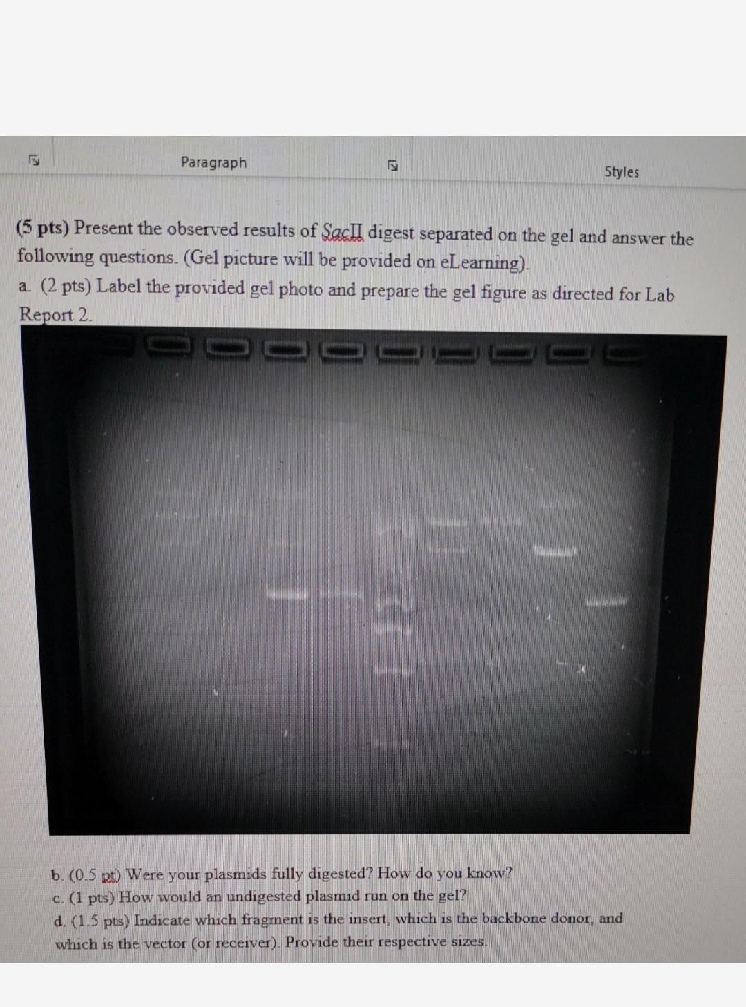 (5 pts) Present the observed results of SacII digest | Chegg.com