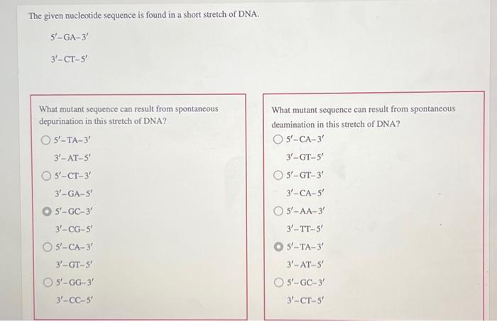 Solved The given nucleotide sequence is found in a short | Chegg.com