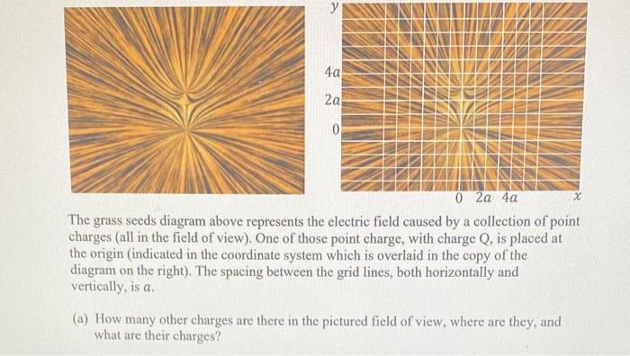 Solved The grass seeds diagram above represents the electric | Chegg.com