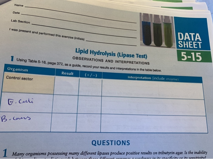 Solved Name Date Lab Section I was present and performed | Chegg.com