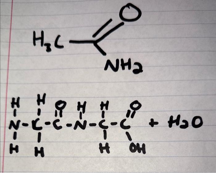 Solved help with both name the first one. finish the | Chegg.com