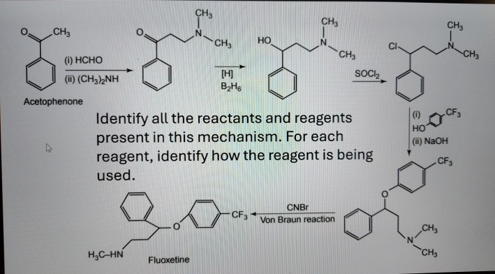 Solved Identify all the reactants and reagents prwsenpresent | Chegg.com